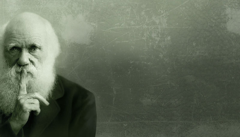 DARWIN – Le fabuleux voyage du Beagle – Sylvain Mahuzier